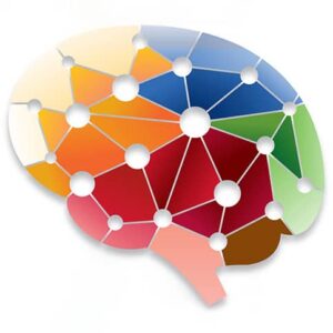 Cognitive Errors in Clinical Diagnosis: Anchoring and Confirmation Bias ...