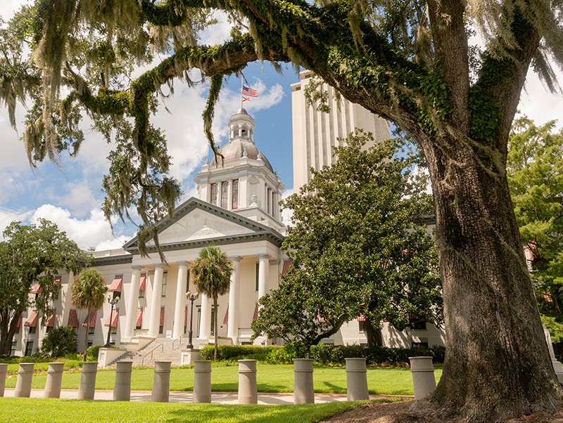 Florida Proposes Bill to Restrict Use of Title "Dr." – Fitzgerald ...