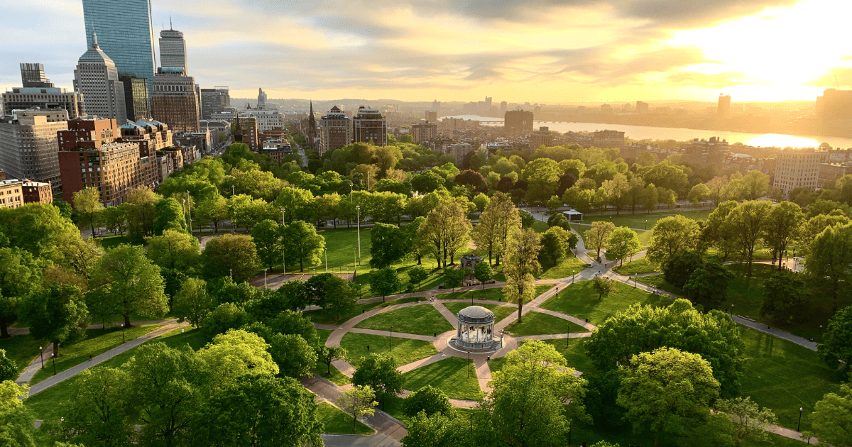 Family NP In-Person Review Courses – Fitzgerald Health Education Associates